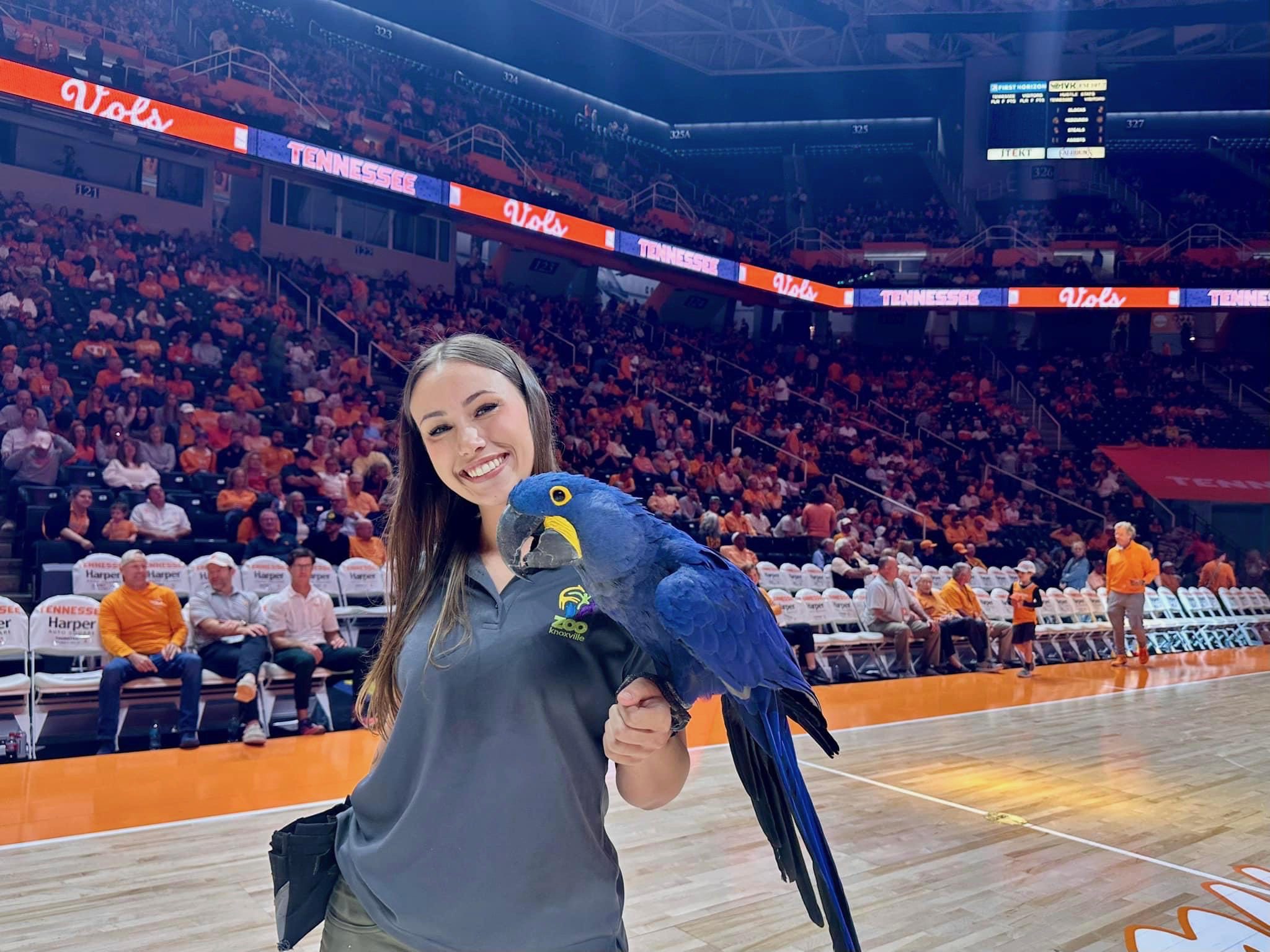 Animal Science Student Now Bird Keeper at Zoo Knoxville | Herbert ...